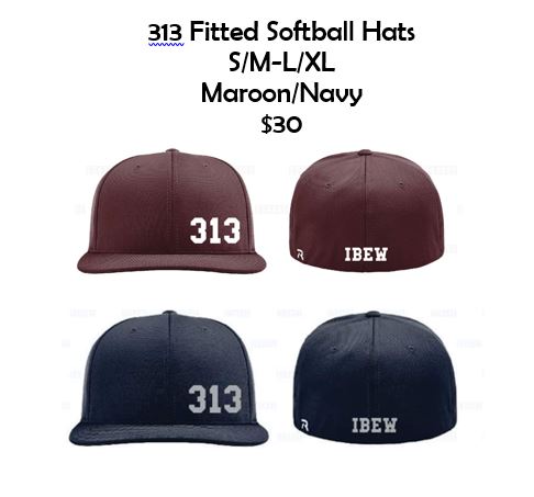 IBEW Local 313